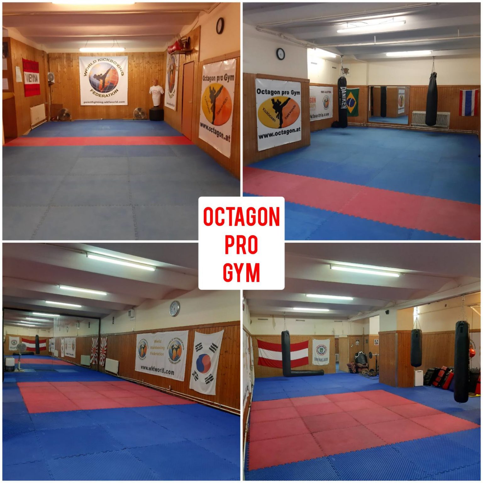 Kickboxen in Wien – Octagon Pro Gym
